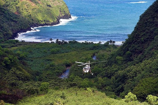 Hana Rainforest Helicopter Flight with Landing from Maui - Mauis Hana Rainforest Helicopter Flight with Landing: An In-Depth Review