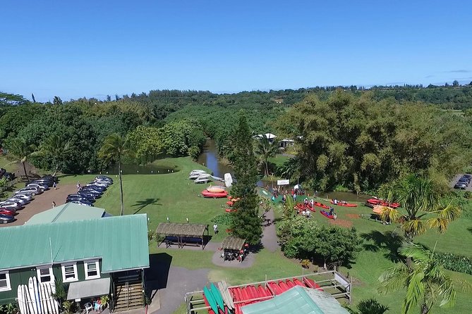 Hanalei Bay Morning Kayak and Snorkel Tour - Introduction: Why This Tour is a Must-Do