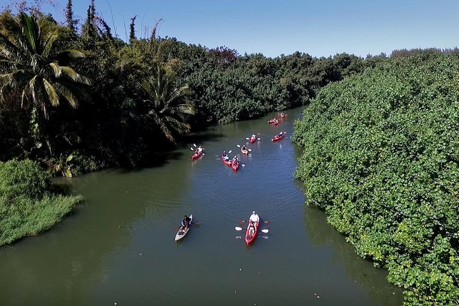 Hanalei Bay Morning Kayak and Snorkel Tour - What Makes This Tour Special?