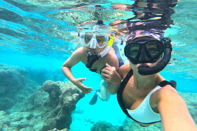 Hanauma Bay Guided Snorkel Tour (with guaranteed entrance time) - Who Should Consider This Tour