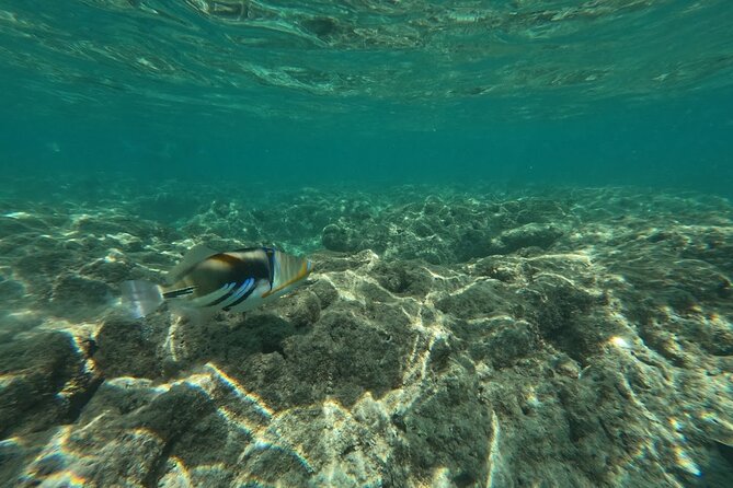 Hanauma Bay Guided Snorkeling Tour with Transportation - Final Thoughts