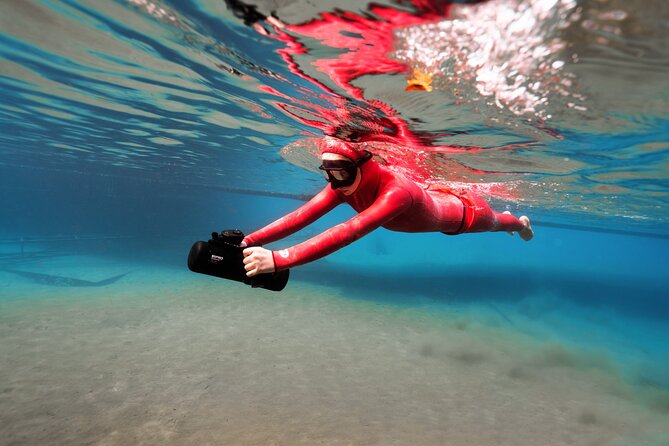 Hanauma Bay Snorkeling Reservation+Equipment Rental - Key Points  