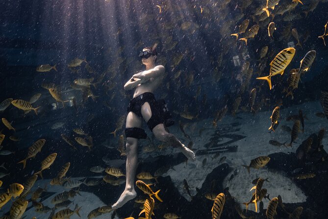 Hanauma Bay Snorkeling Reservation+Equipment Rental - Introduction: Is This the Right Choice for You?  