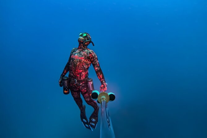 Hanauma Bay Snorkeling Reservation+Equipment Rental - How the Tour Works: Step-by-Step Breakdown  
