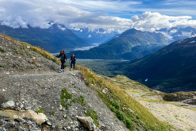 Harding Icefield Trail Hiking Tour - Who Should Consider This Tour?