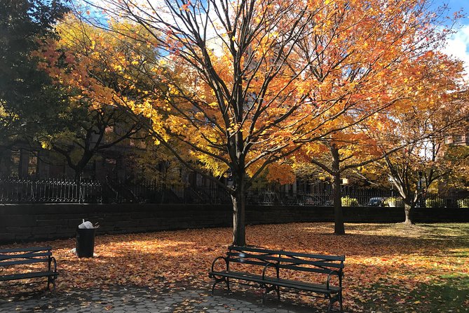 Harlem Walking Tour: Mount Morris Park Historic District w/ Lunch - The Itinerary Breakdown