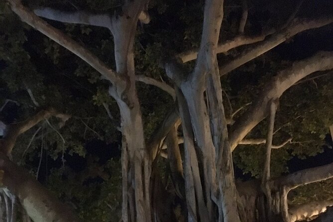 Haunted History of Fort Myers Walking Tour - FAQ: Your Practical Questions Answered