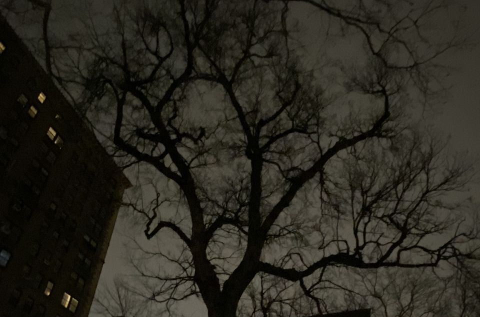 Haunted Village of New York City walking tour - Key Points