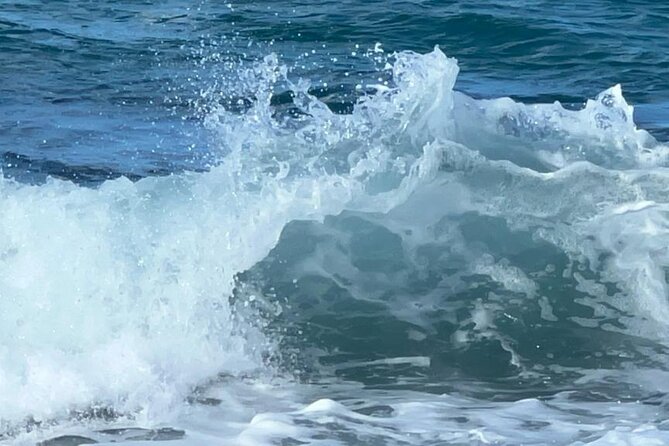 Hawaii 4-Day MiniCircle Island Tour with Pearl Harbor, Honolulu - A Detailed Look at the 4-Day Oahu Tour