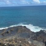 Hawaii 4-Day MiniCircle Island Tour with Pearl Harbor, Honolulu - Authentic Traveler Insights