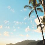 Hawaii, Oahu 1-Day Local Tour - What to Expect and What to Bring