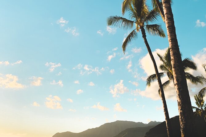 Hawaii, Oahu 1-Day Local Tour - What to Expect and What to Bring