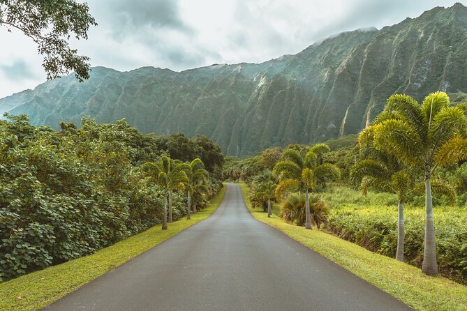 Hawaii, Oahu 1-Day Local Tour - Authentic Traveler Experiences