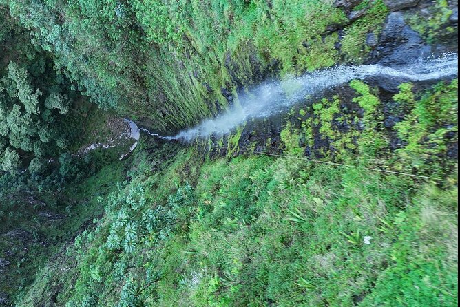 Hawaii Oahu Canyon Rappel & Hike Expedition Tour - Introduction: A Thrilling Day in Nature
