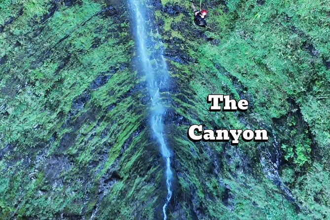 Hawaii Oahu Canyon Rappel & Hike Expedition Tour - Final Thoughts: Who is This Tour Best For?