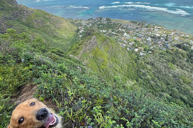 Hawaii Oahu Canyon Rappel & Hike Expedition Tour - FAQ