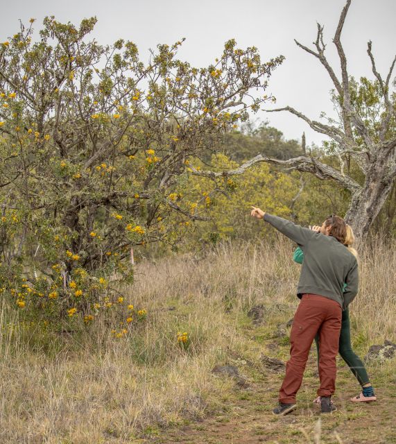 Hawaii: Private All-Inclusive High Country Adventure - Key Points