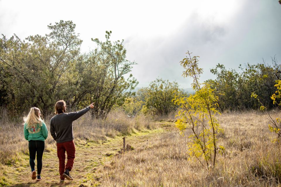 Hawaii: Private All-Inclusive High Country Adventure - Discovering Mauna Loa’s Northern Flank