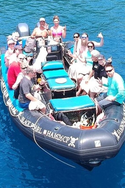 Hawai'i: Private Snorkeling Tour with Lunch and Drinks - Key Points