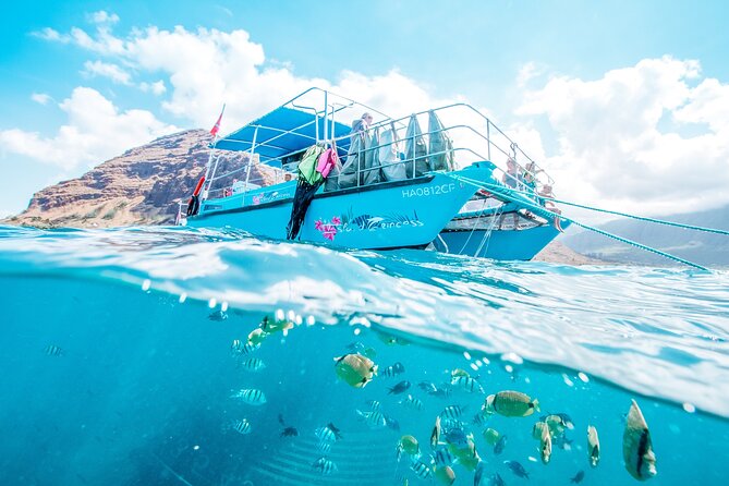 Hawaii Snorkeling with Turtles Boat Tour in Waikiki - Why This Tour Offers Great Value