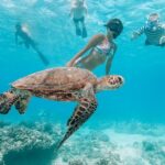 Hawaii Snorkeling with Turtles Boat Tour in Waikiki - Who Is This Tour Best For?