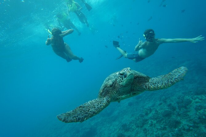 Hawaii Snorkeling with Turtles Boat Tour in Waikiki - The Sum Up