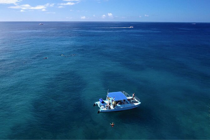 Hawaii Snorkeling with Turtles Boat Tour in Waikiki - FAQ