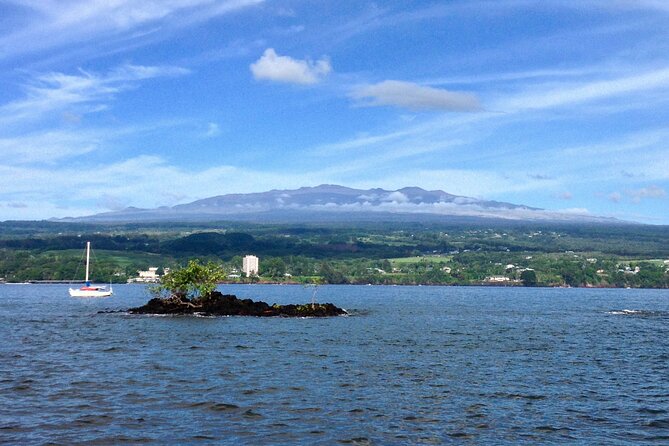 Hawaii Volcanoes National Park and Hilo Highlights Small Group Tour - An In-Depth Look at the Tour Experience