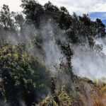 Hawaii Volcanoes National Park Experience Departing from Oahu - Transportation and Comfort