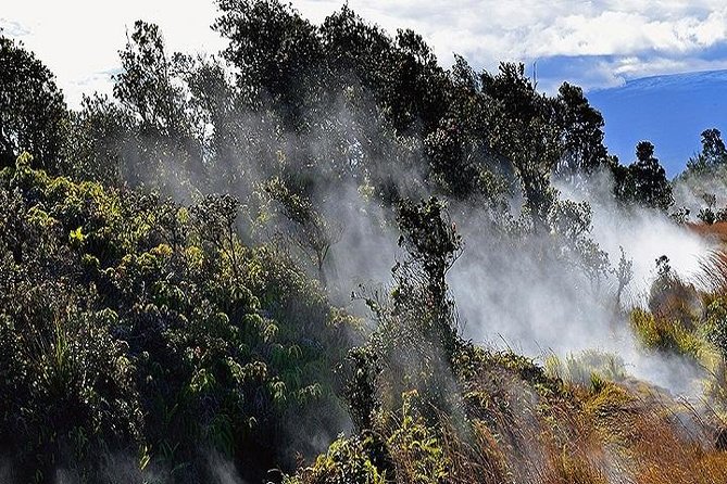 Hawaii Volcanoes National Park Experience Departing from Oahu - Transportation and Comfort