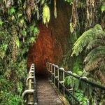 Hawaii Volcanoes National Park Experience from Kauai - Practical Details and What You Should Know