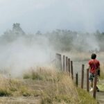 Hawaii Volcanoes National Park Experience From the Big Island - In-Depth Look at the Itinerary