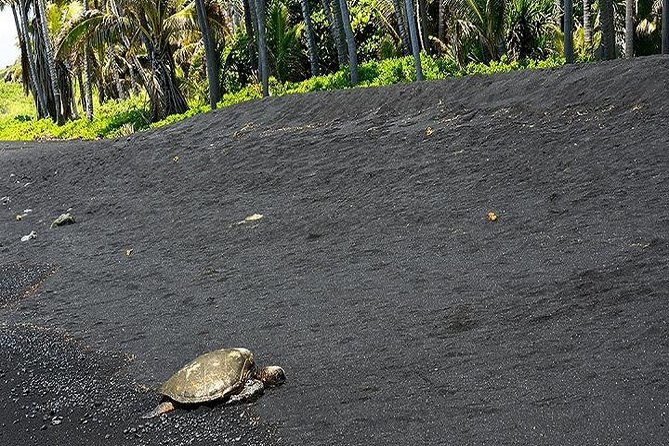 Hawaii Volcanoes National Park Experience from the Big Island - The Full Experience: What to Expect from the Tour