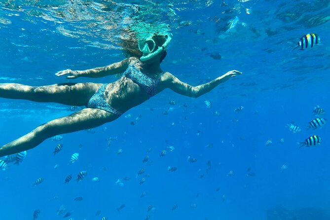 Hawaiian Culture & Snorkel Adventure with Photo/Videos - Hawaiian Culture & Snorkel Adventure with Photo/Videos: A Complete Guide