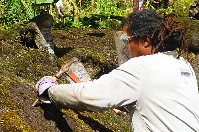 Hawaiian Ohia Tea and Tikis - Exploring the Hawaiian Ohia Tea and Tikis Tour: A Deep Dive into Nature, Art, and Off-Grid Living