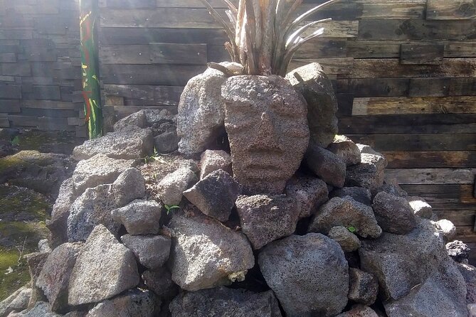 Hawaiian Ohia Tea and Tikis - Why This Tour Matters for Travelers