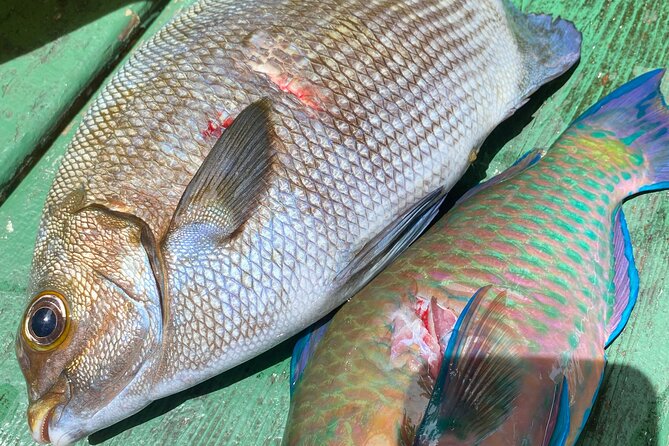 Hawaiian Reef Spearfishing Lesson for Beginners - Final Thoughts  