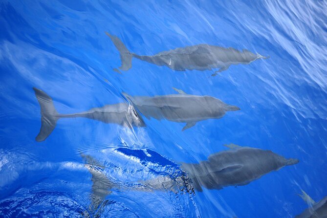 Hawaiian Sail and Snorkel in Kailua-Kona, Hawaii - What to Expect on the Day