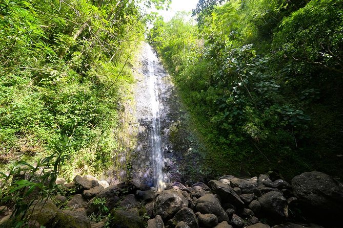 Hawaiian Waterfall Hike - Key Points