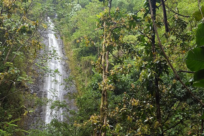 Hawaiian Waterfall Hike - The Experience Overview: What to Expect
