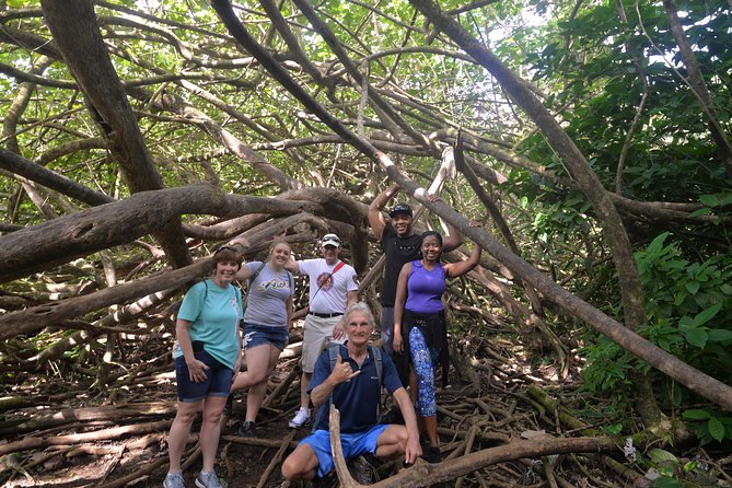 Hawaiian Waterfall Hike - The Logistics and Value