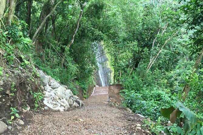 Hawaiian Waterfall Hike - Authentic Experiences from Reviews