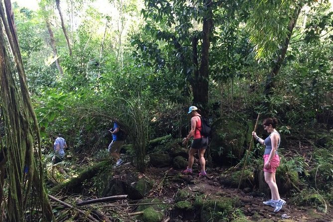 Hawaiian Waterfall Hike - The Sum Up: Who Is This Tour Best For?