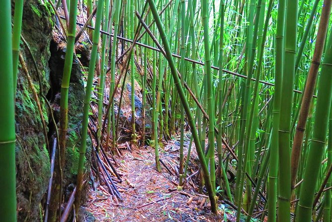 Hawaiian Waterfall Hike - FAQs