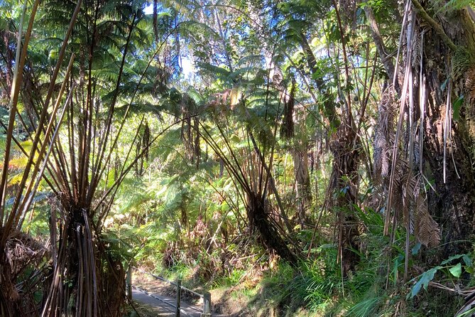 Hawai'i's Volcanoes National Park from Hilo Only - FAQ: Your Questions Answered