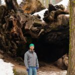 Heart of the Giant Forest Hike - A Closer Look at the Itinerary