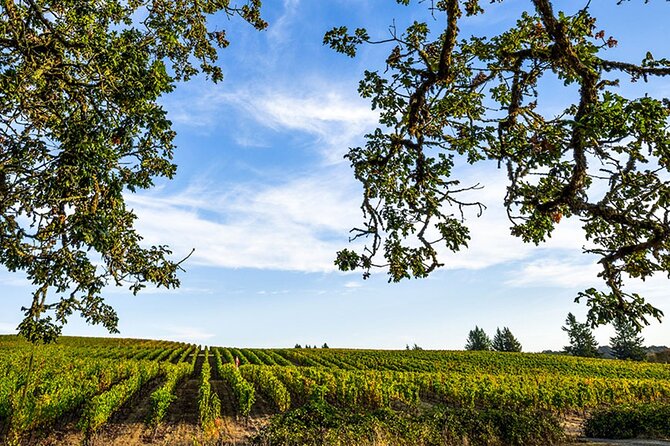 Heart of Willamette Winery Pass : Wine Tastings and Discounts - The Experience: What You Can Expect