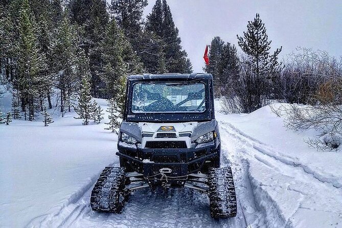 Heated and Enclosed ATV Tour in Alaska. Open All Year Round - Detailed Review of the Alaska ATV Experience