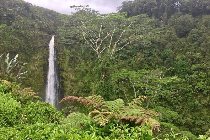 Heavenly Hamakua: From Kona - Key Points