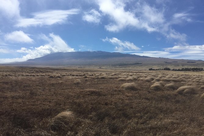 Heavenly Hamakua: From Kona - Why This Tour Offers Great Value
